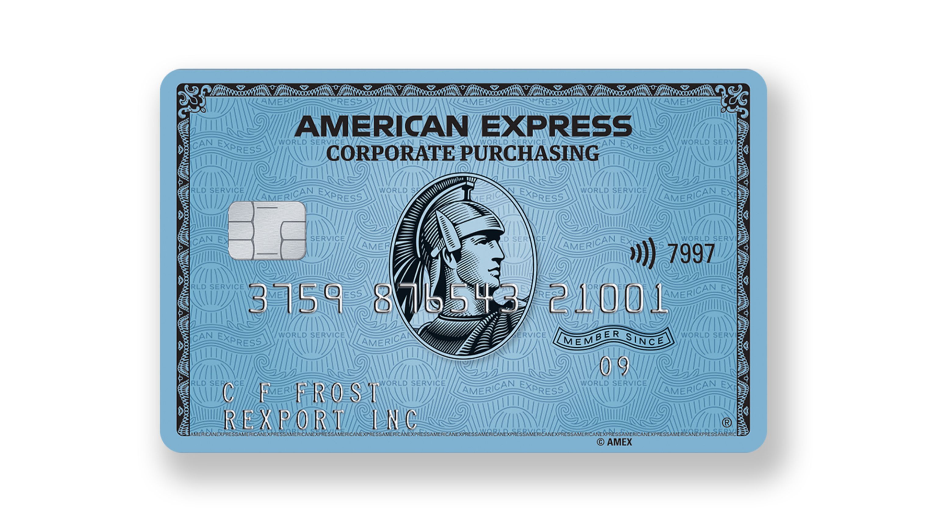 American Express Corporate Purchasing Card | American Express Switzerland